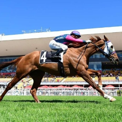 Play Bridge | Sky Bridge Club